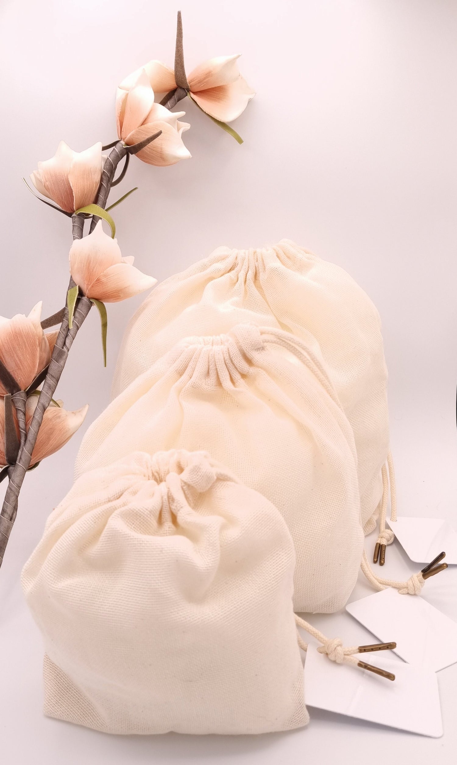 L'Asterie – L' Asterie